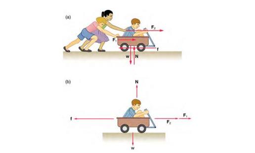 NEWTON'S LAW | NUEL
