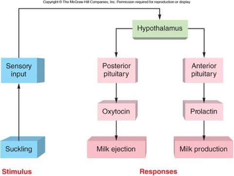 Lecture Notes | NUEL