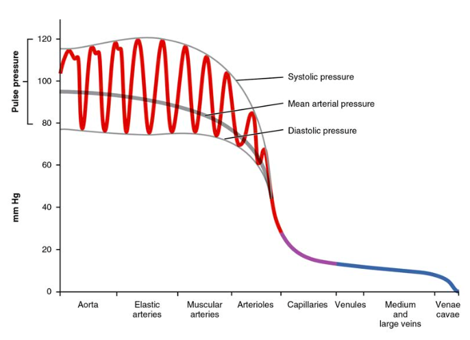 Mean Arterial Blood Pressure: Concept, Normal Values, and Variations | NUEL